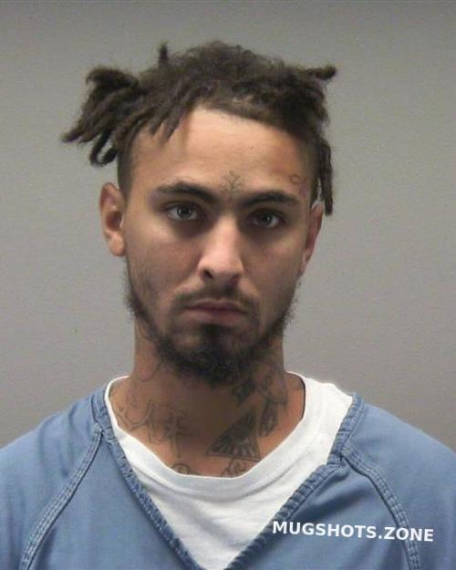 MCLEAN BRANDON LEE 03/30/2022 - Montgomery County Mugshots Zone