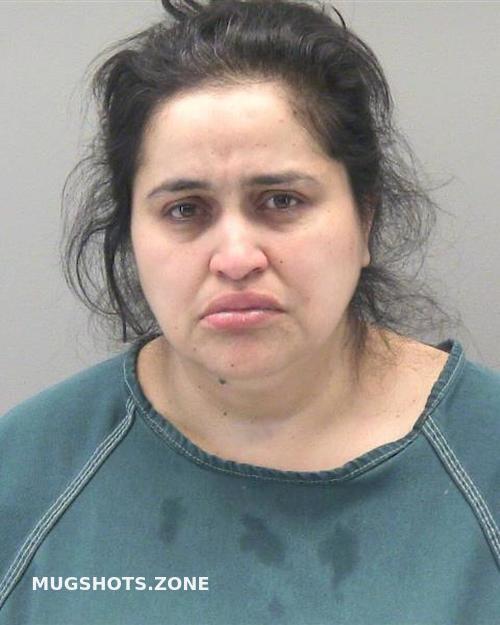 DE SANTIAGO NAVARRETE NALLELY 05/01/2022 - Montgomery County Mugshots Zone