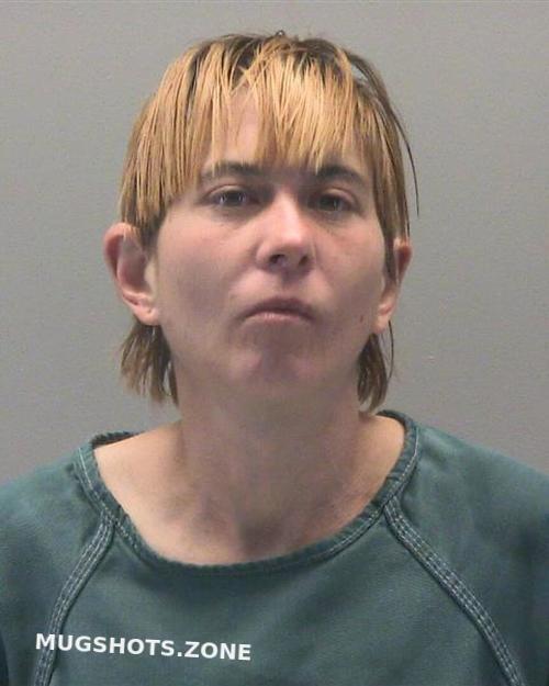 Hudgel Michelle 12 26 2022 Montgomery County Mugshots Zone