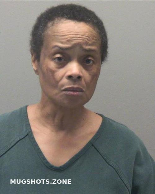 COOK FRANCES LYNN 01/18/2023 - Montgomery County Mugshots Zone