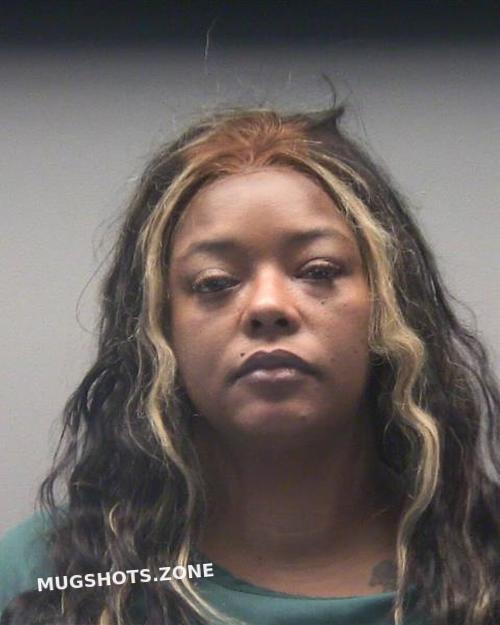 RINGER ROBYN ALEXANDRA 02/21/2023 - Montgomery County Mugshots Zone