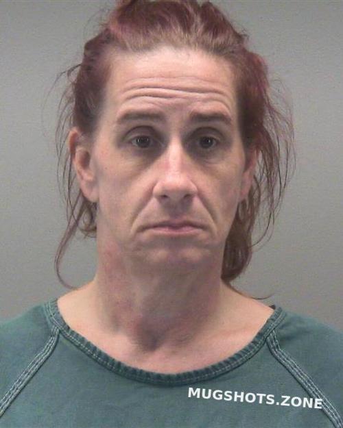 LYNN AMY S 05/11/2023 - Montgomery County Mugshots Zone