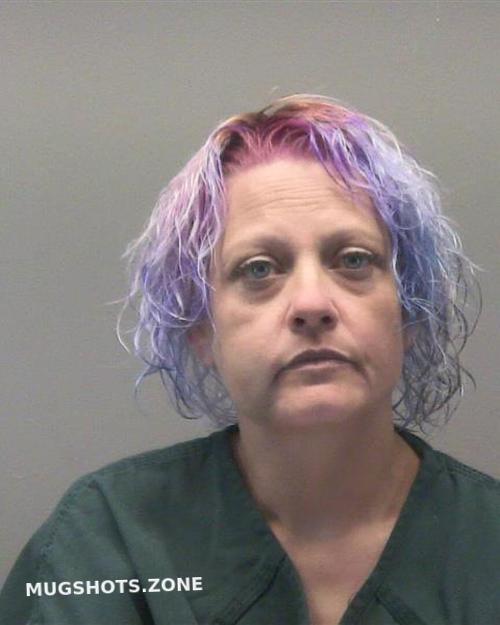 Hendrickson Sara 06 21 2023 Montgomery County Mugshots Zone