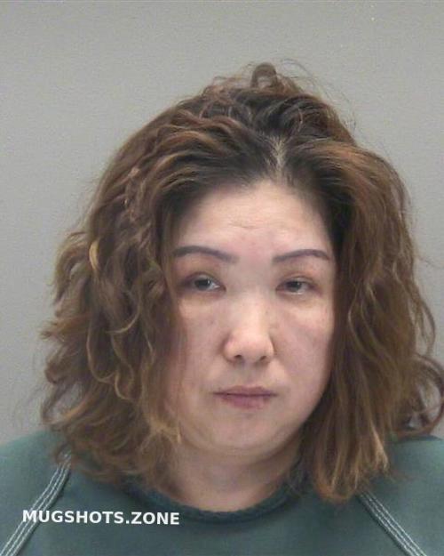ZENG YUAN-YUAN 01/17/2024 - Montgomery County Mugshots Zone