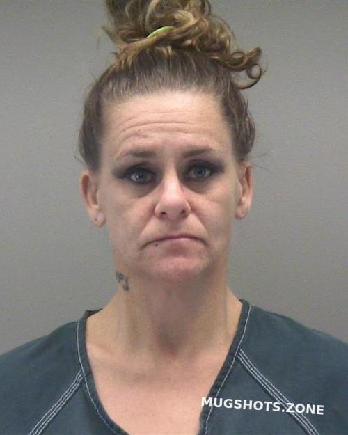 RILEY LINDA GAIL 01/30/2024 - Montgomery County Mugshots Zone