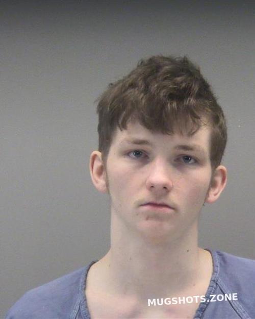MCCLOUD III RICKY ALLEN 02/11/2024 - Montgomery County Mugshots Zone