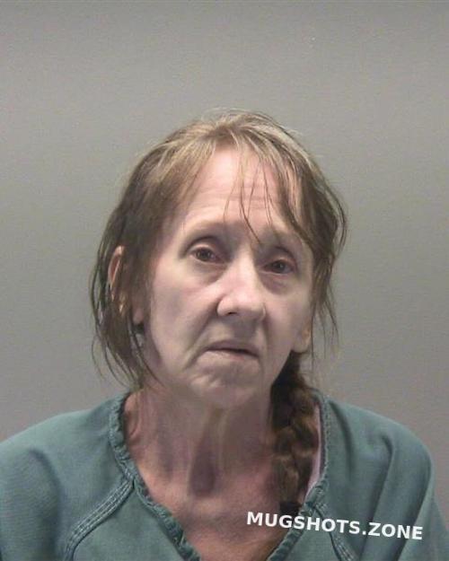 WELLMAN LINDA L 04/27/2024 - Montgomery County Mugshots Zone