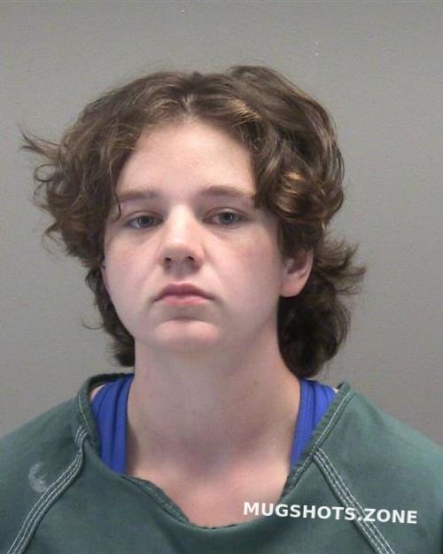 Clark Michelle 06 08 2024 Montgomery County Mugshots Zone