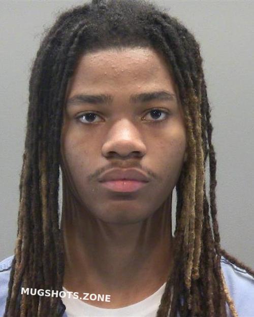 JOHNSON DAVION KAMARION 06/18/2024 - Montgomery County Mugshots Zone