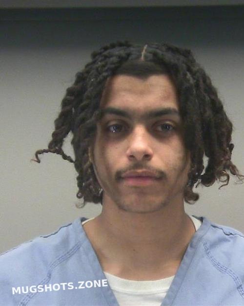 JOHNSON MICHAEL DAMON 07/02/2024 - Montgomery County Mugshots Zone