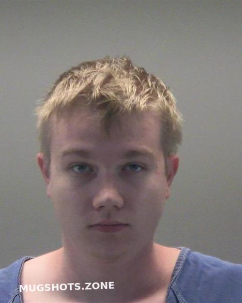 GREGORY AUSTIN DYLAN 08/18/2024 - Montgomery County Mugshots Zone