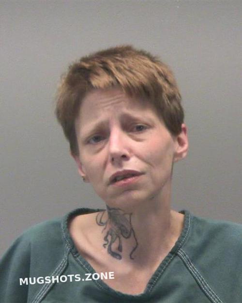 REED TARA ANN 10/22/2024 - Montgomery County Mugshots Zone