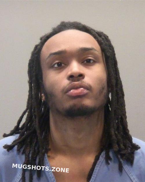 RIGGINS JAVION 10/24/2024 - Montgomery County Mugshots Zone