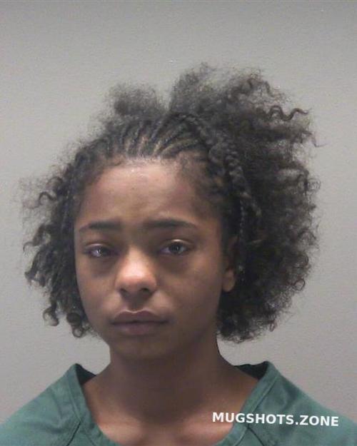 DUNGEY JUSTICE JORDAN 10/28/2024 - Montgomery County Mugshots Zone