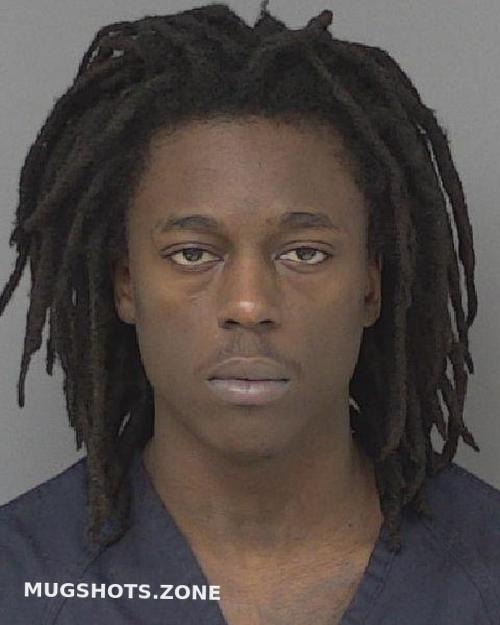 LESTER-MCCOY TYREE ALAN 11/25/2024 - Montgomery County Mugshots Zone