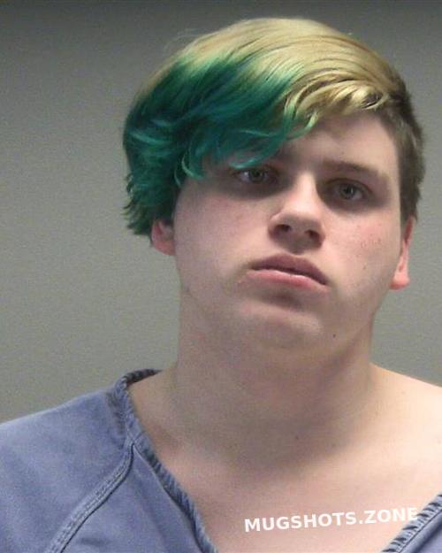 GIERUS SEAN MICHEAL 11/26/2024 - Montgomery County Mugshots Zone