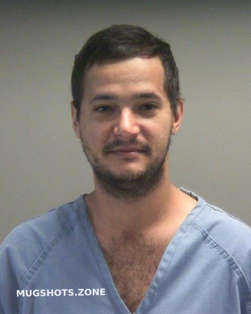 WILLIAMS STEVEN ALLEN 11/27/2024 - Montgomery County Mugshots Zone