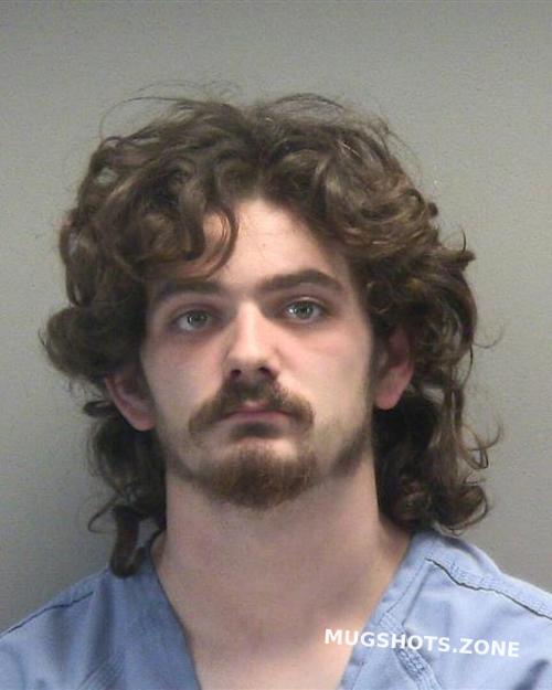 LILLY WYATT CODY 12/10/2024 - Montgomery County Mugshots Zone