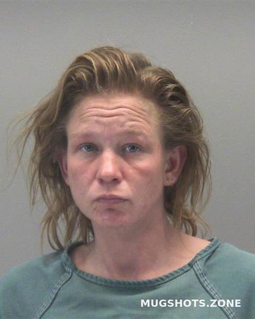 BOGAN ERICA MARIE 12/16/2024 - Montgomery County Mugshots Zone
