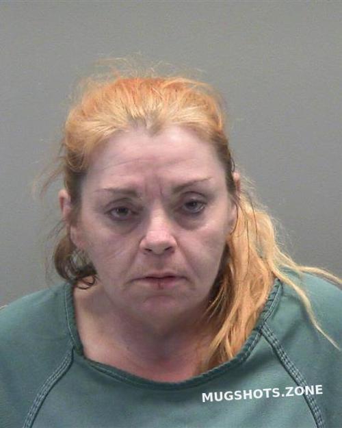 KRAMER-MACE CHERYL ANNE 12/20/2024 - Montgomery County Mugshots Zone