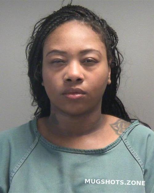 TURNER BRANDY ANN 12/20/2024 - Montgomery County Mugshots Zone