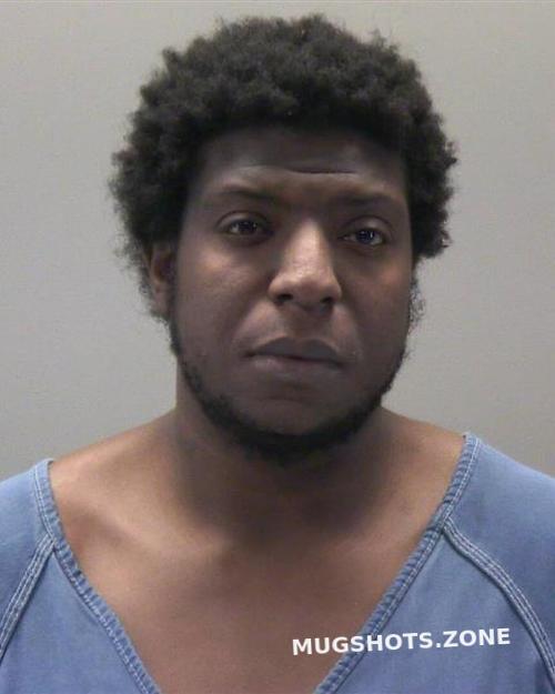 HAMILTON STEVEN E 12/24/2024 - Montgomery County Mugshots Zone