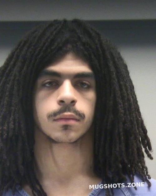 STEIN JACOB THOMAS 01/04/2025 - Montgomery County Mugshots Zone