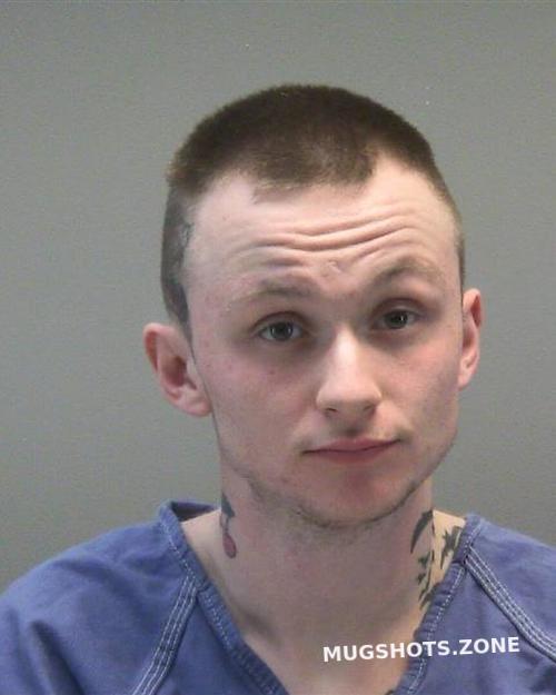 LADD TYLER RYAN 01/14/2025 - Montgomery County Mugshots Zone