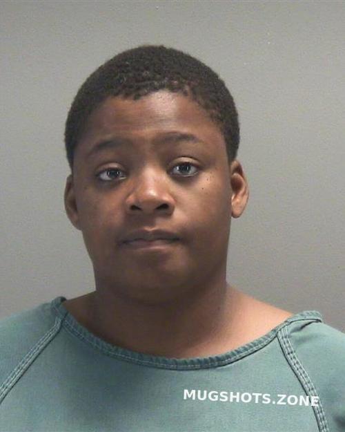 COATES ASHLEY REANAE 01/22/2025 - Montgomery County Mugshots Zone