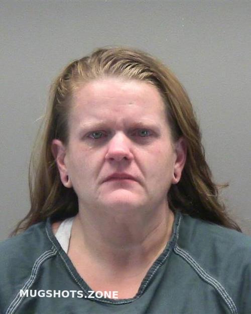 FEGEL STEPHANIE NICOLE 02/03/2025 - Montgomery County Mugshots Zone
