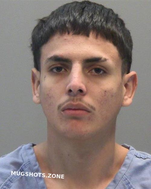 PEREZ-AVITIA NOEL ALAN 02/13/2025 - Montgomery County Mugshots Zone