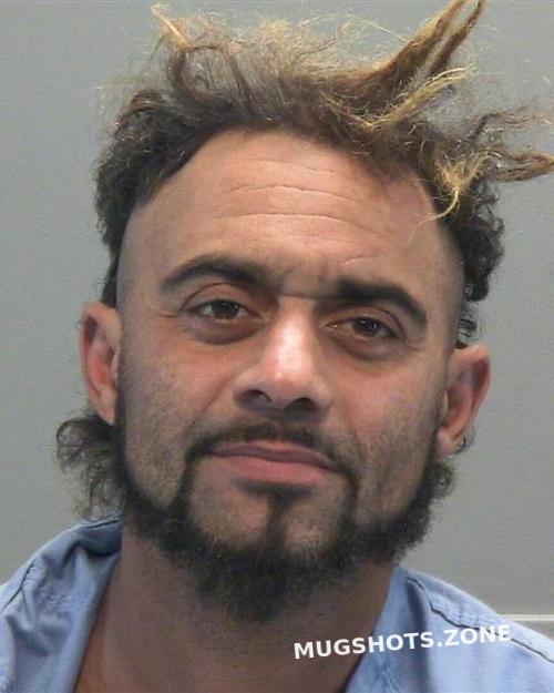 RICHARDSON JOSEPH ALPHONSO 04/30/2025 - Montgomery County Mugshots Zone