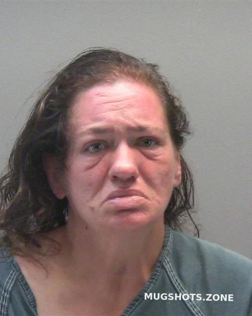 JOHNSON AUDREY MARIE 06/08/2025 - Montgomery County Mugshots Zone