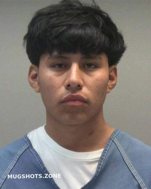 POROJ-NOLASCO EDWIN ALISANDRO 07/11/2025 - Montgomery County Mugshots Zone