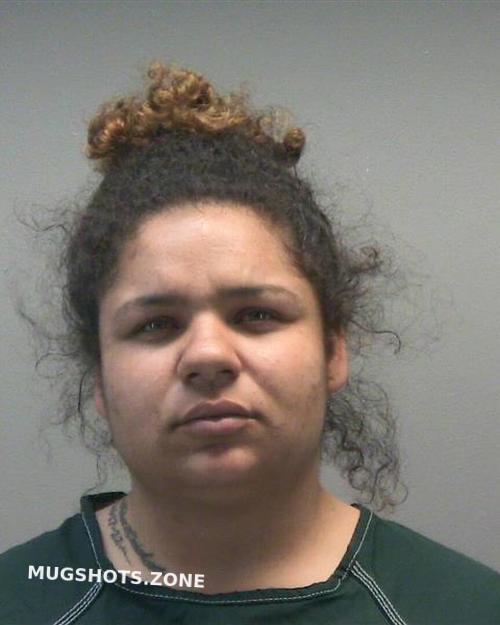 ERICKSON ROSA MARIE 07/15/2025 - Montgomery County Mugshots Zone