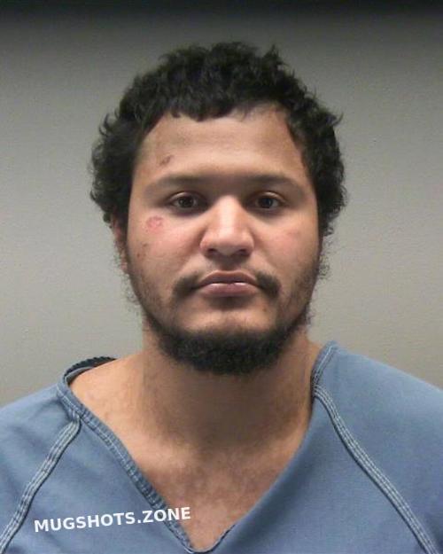 LIZARDO ERICK JONATHAN 07/20/2025 - Montgomery County Mugshots Zone