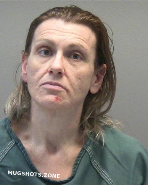 RUTH LINDSAY ELLEN 08/20/2025 - Montgomery County Mugshots Zone