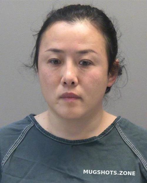 DAVIS AVA JIE 11/19/2025 - Montgomery County Mugshots Zone