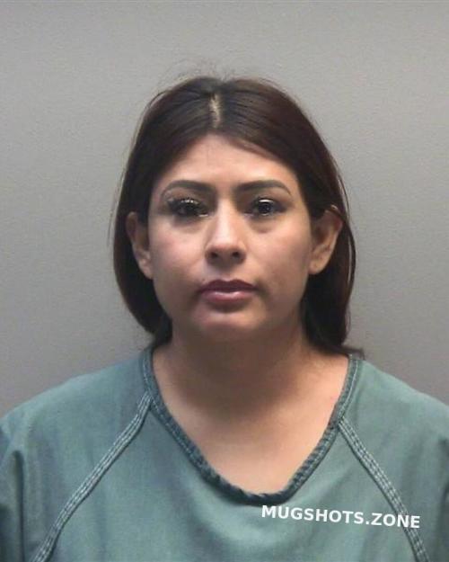 VALDEZ-PANTALEON ISABEL ANA 01/11/2026 - Montgomery County Mugshots Zone