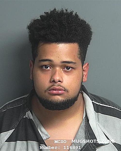 SABATIER ALEXANDER JAMES 02/07/2021 - Montgomery County Mugshots Zone