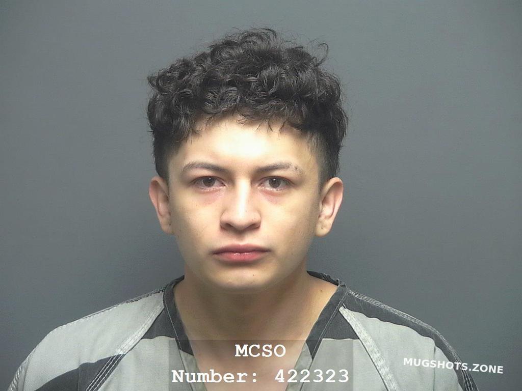 HERNANDEZ ALVAREZ FERNANDO ALEXANDER 01/10/2022 - Montgomery County ...