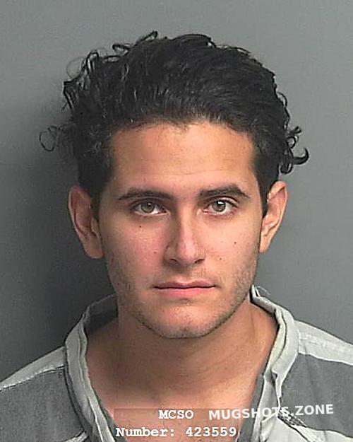 SANTIAGO LOPEZ ALEXANDER RAFAEL 01/15/2022 - Montgomery County Mugshots ...