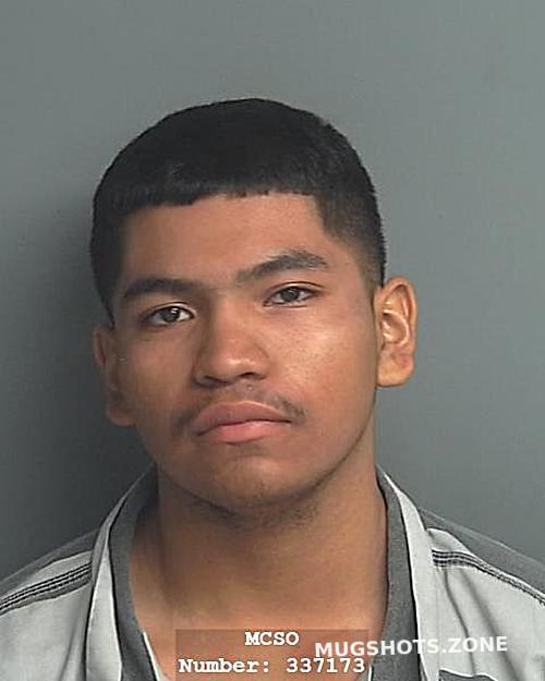 TREJO JOSE LUIS JR 01/16/2023 - Montgomery County Mugshots Zone
