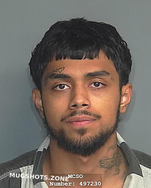 SANCHEZ NICHOLAS ANGEL 01/21/2023 - Montgomery County Mugshots Zone