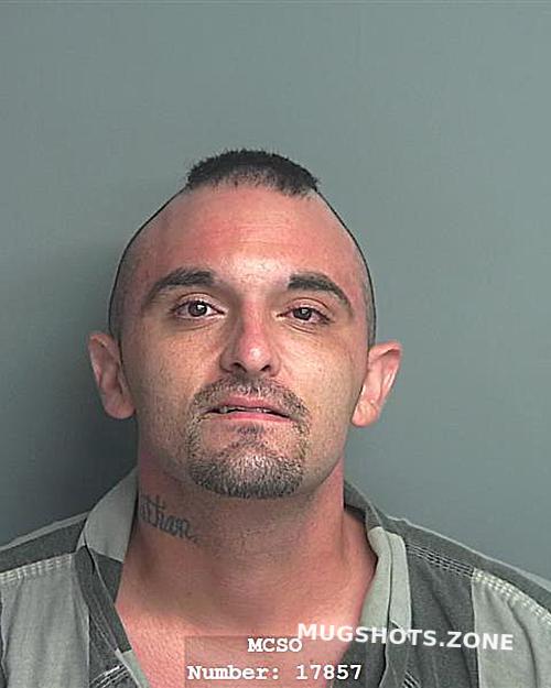 ANDERSON JOSHUA NICHOLAS 08/15/2023 - Montgomery County Mugshots Zone