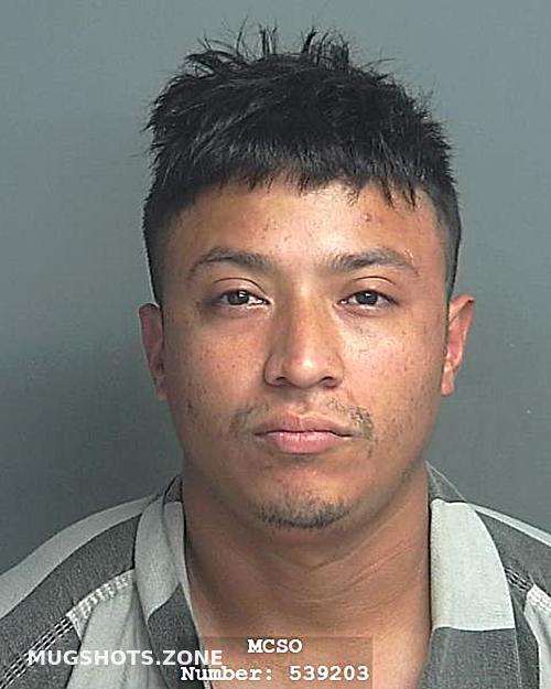 REYES REYES CARLOS ROBERTO 08/24/2023 - Montgomery County Mugshots Zone