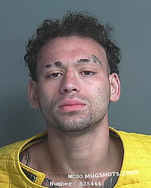 RIOS MICHAEL ANGELO 08/28/2023 - Montgomery County Mugshots Zone