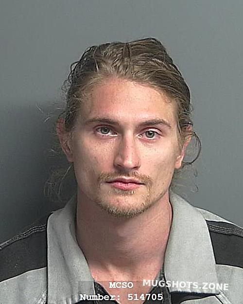 LONG CHRISTOPHER JUSTIN LEE 11/22/2023 - Montgomery County Mugshots Zone