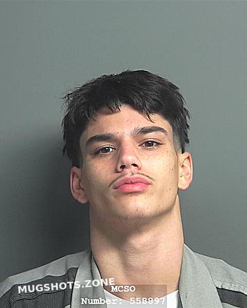 WILLIAMS BENJAMIN DAVID 12/08/2023 - Montgomery County Mugshots Zone