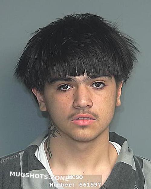 MCDANIEL JASE 12/22/2023 - Montgomery County Mugshots Zone